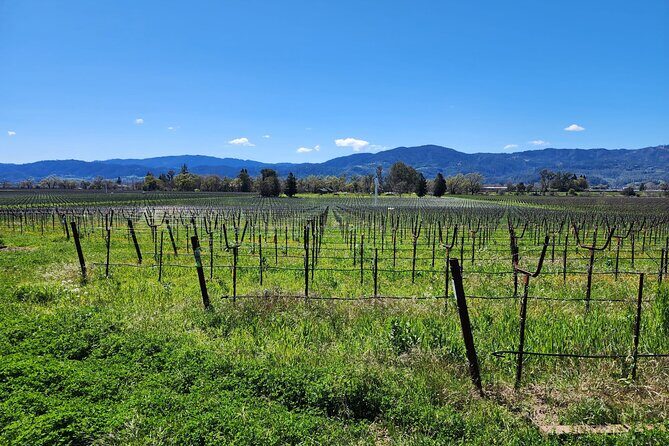 Sonoma and Napa Champagne Wine Private Tour Half Day - Valuing the Experience: Is It Worth the Cost?