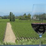 Sonoma and Napa Wine Tour 3 Tastings Included Small-Group Tour - What to Expect: Day in the Life