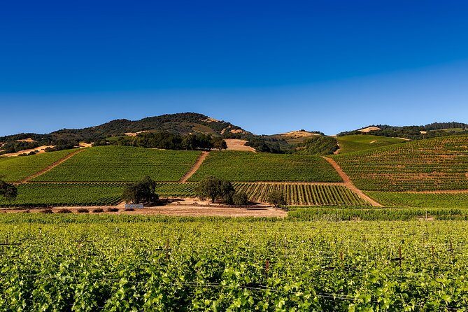 Sonoma And Napa Wine Tour Private Tours 8 to 10 Hours max 14 pax - The Sum Up