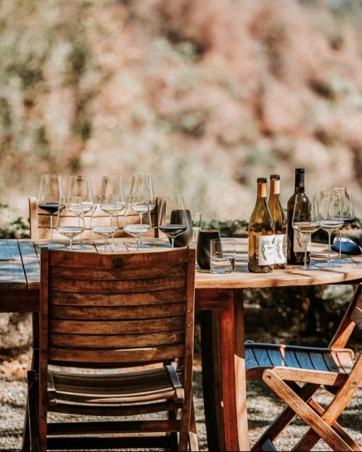 Sonoma: Explore Natural Wineries with a Local Sommelière - A Detailed Look at the Sonoma Natural Wineries Tour