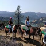 Sonoma Horseback-Riding Tour - Why This Tour Offers Great Value