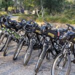 Sonoma Valley Pedal Assist Bike Tour - What Travelers Say