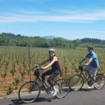 Sonoma Valley Pedal Assist Bike Tour with Lunch - The Itinerary: A Closer Look