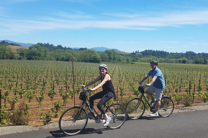 Sonoma Valley Pedal Assist Bike Tour with Lunch - The Itinerary: A Closer Look