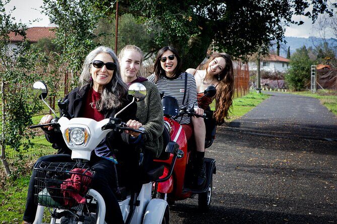 Sonoma Wine Country Electric Trike Tour - 3 hours - Itinerary Breakdown