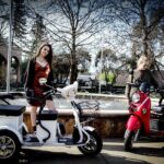 Sonoma Wine Country Electric Trike Tour - 5 hours - The Itinerary in Detail