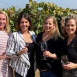 Sonoma Wine Rides: Sonoma County Join-In Group Wine Tasting Tours - The Sum Up: Who Should Book?