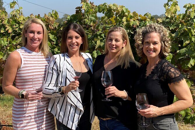 Sonoma Wine Rides: Sonoma County Join-In Group Wine Tasting Tours - The Sum Up: Who Should Book?