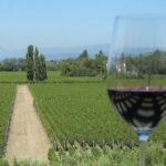 Sonoma Wine Tour with 2 Tastings Included Small-Group Half Day - Visiting Homewood Winery
