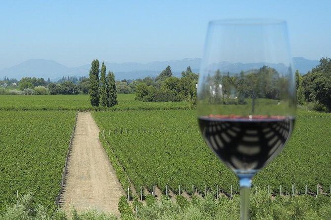 Sonoma Wine Tour with 2 Tastings Included Small-Group Half Day - Visiting Homewood Winery