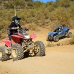 Sonoran Desert: Guided UTV or ATV Desert Tour - The Itinerary in Detail