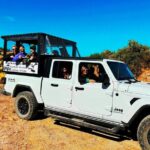 Sonoran Desert To MountainTop Jeep Tour minutes from Scottsdale - Pricing and Value