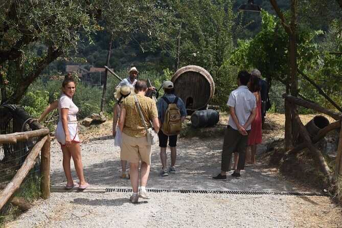 Sorrento Farm Experience: Wine Tasting, Pizza and Cheese Making - Authenticity and Family Atmosphere