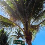 South Beach Golf Cart Tour - The Itinerary: What to Expect