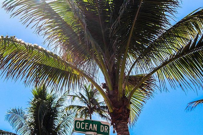South Beach Golf Cart Tour - The Itinerary: What to Expect