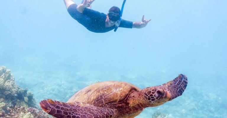 South Maui: Molokini Snorkeling Adventure - The First Stop: Molokini Crater