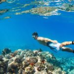 South Maui: Premium Turtle Town Kayak and Snorkel Tour - Final Thoughts: Who Will Love This Tour?