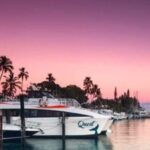 South Maui: Sunset Cruise with 4-Course Dinner and Drinks - The Atmosphere: Music, Views, and Intimate Dining