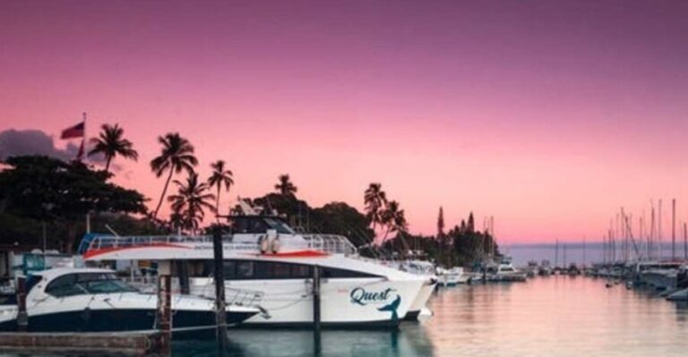 South Maui: Sunset Cruise with 4-Course Dinner and Drinks - The Atmosphere: Music, Views, and Intimate Dining