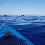 South Shore Turtle Kayak and Snorkel Experience - A Closer Look at the Itinerary