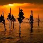 Southern Sri Lanka Sightseeing Day Trip From Colombo & Negombo - Kosgoda Sea Turtle Conservation Project