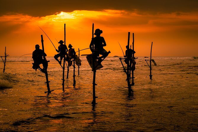 Southern Sri Lanka Sightseeing Day Trip From Colombo & Negombo - Kosgoda Sea Turtle Conservation Project