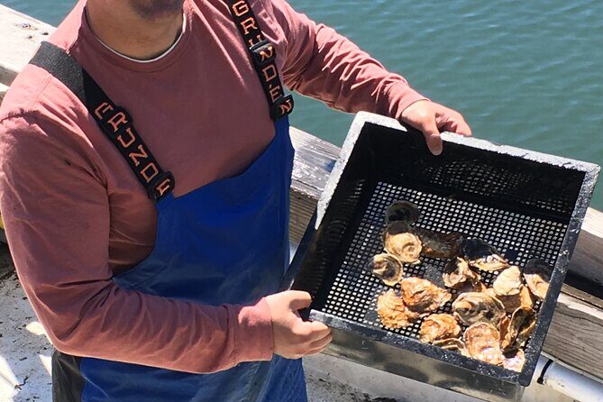 Southold Bay Oyster Farm Tour - Pricing and Value