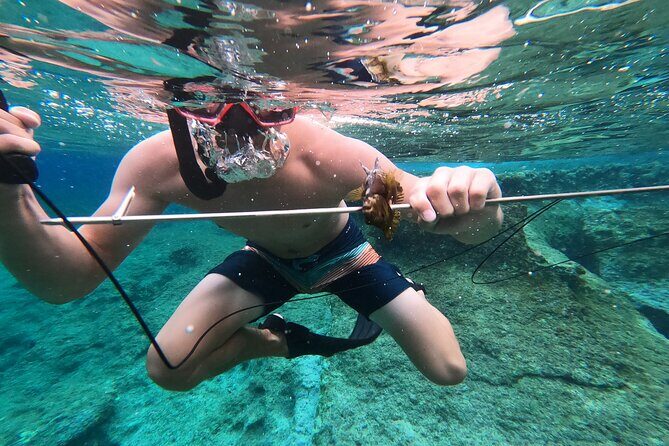 Spearfishing in Chania, Crete (price is per group) - Who Is This Tour Best For?