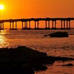 Spectacular Sunset Cruise - Wildlife and Scenic Highlights