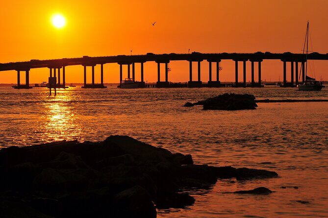 Spectacular Sunset Cruise - Wildlife and Scenic Highlights