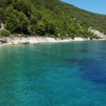 Speed Boat Trip to Grama Bay - An In-Depth Look at the Speed Boat Trip to Grama Bay