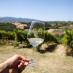 Spello E-Bike Tour with Lunch and Wine Tasting! - Practical Details and Value for Money