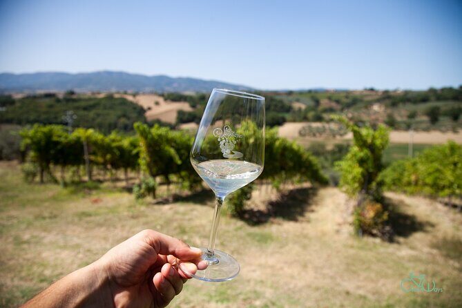 Spello E-Bike Tour with Lunch and Wine Tasting! - Practical Details and Value for Money