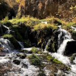 Spirit of the West: Devils Tower, Spearfish Canyon & Deadwood - What Travelers Say