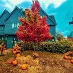 Spirits and Superstitions A Friday the 13th Tour - Authentic Experiences and Review Insights