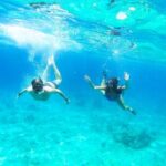 Split: Blue Lagoon, Hvar, Bra, 6 Islands Boat Tour - Small Group - Who Will Love This Tour?