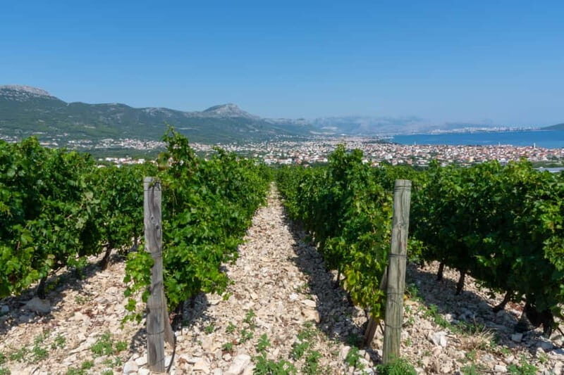 Split: Katela Wine Tasting and Food Pairing - The Breakdown of the Itinerary