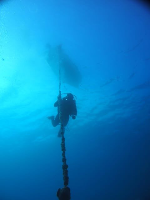 Split-Makarska-Brela Try SCUBA Dive - The Practicalities