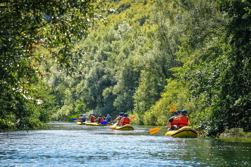 Split/Omi: Golden River Canoe Safari - Authentic Experiences & Real Reviews