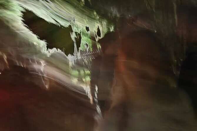 Spooky Savannah Ghost Coach - FAQs about the Spooky Savannah Ghost Coach