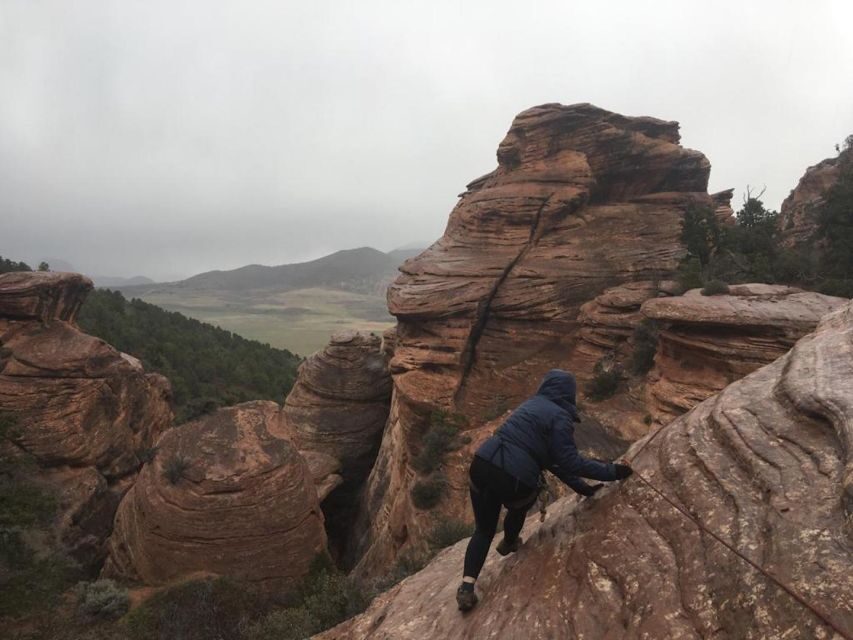 Springdale: Half-Day Canyoneering Experience - Authentic Perspectives from Reviewers