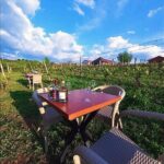 S&S Winery - Wine Tasting Experience in Ohrid - Details That Matter