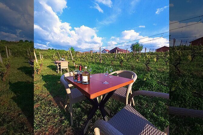S&S Winery - Wine Tasting Experience in Ohrid - Details That Matter