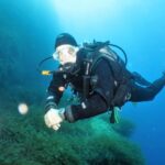 SSI Try Scuba Diving in the sea - Practical Details: Booking, Location, and Conditions