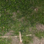St. Augustine: Devil's Hour Paranormal Investigation Tour - Authentic Perspectives from Other Participants