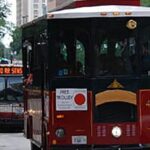 St. Louis: The Hill Italian American Neighborhood Tour - Why Value Matters: Price and What You Get