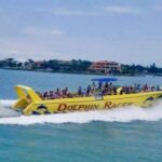St. Pete Beach: Dolphin Racer Cruise by Speedboat - What Makes This Tour Stand Out?