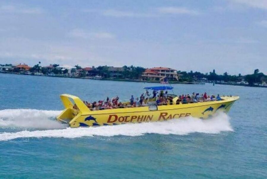 St. Pete Beach: Dolphin Racer Cruise by Speedboat - What Makes This Tour Stand Out?