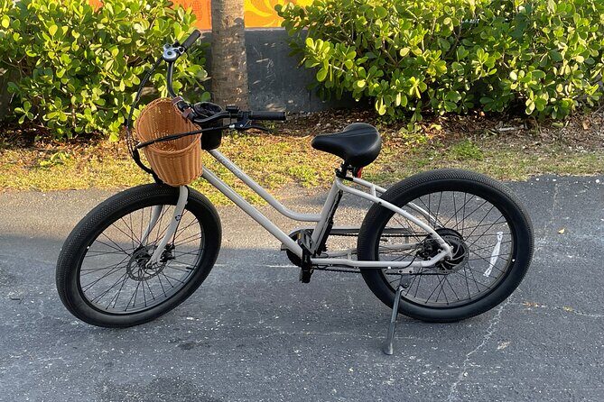 St Pete E-Bike Rentals - Exploring the Neighborhoods and Trails