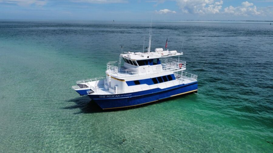 St. Petersburg, FL: 4-Hour Catamaran Cruise to Egmont Key - Introduction to the Experience